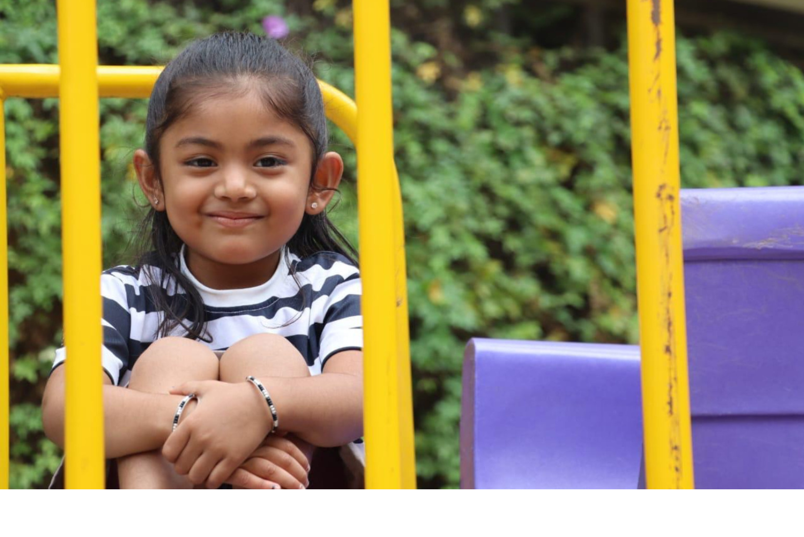 The Indian Public School